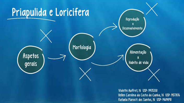 Priapulida e Loricifera by Violette Auffret on Prezi
