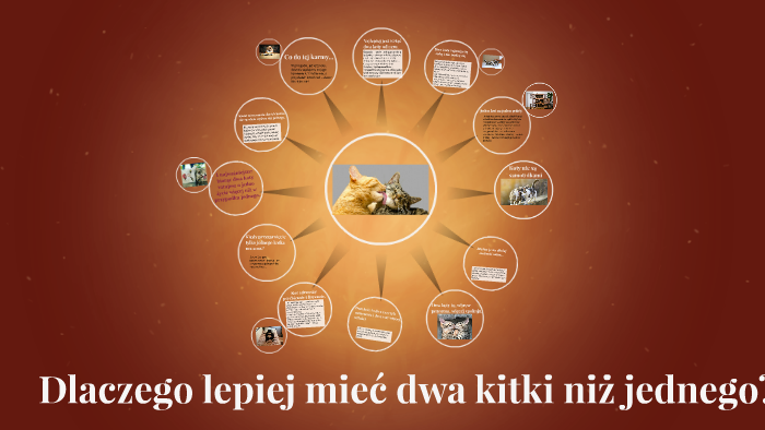 Dlaczego lepiej mieć dwa kitki niż jednego? by Kamila Majka on Prezi