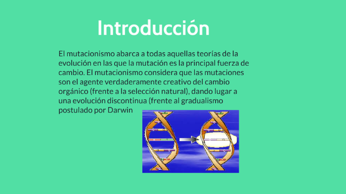 Teoria Mutacionista by Roberto Muñoz on Prezi