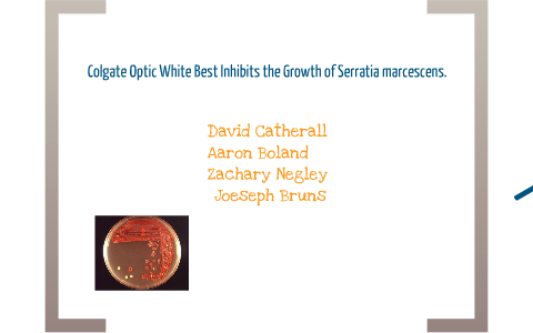 Bacteriology Lab by David Catherall on Prezi