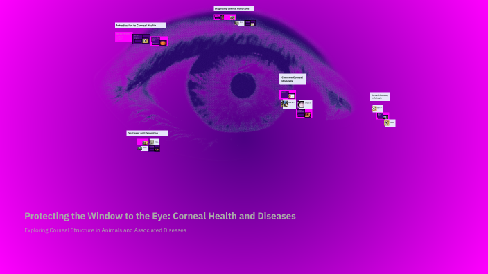 Protecting the Window to the Eye: Corneal Health and Diseases by ...