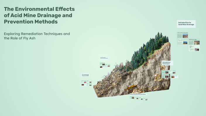 The Environmental Effects of Acid Mine Drainage and Prevention Methods ...
