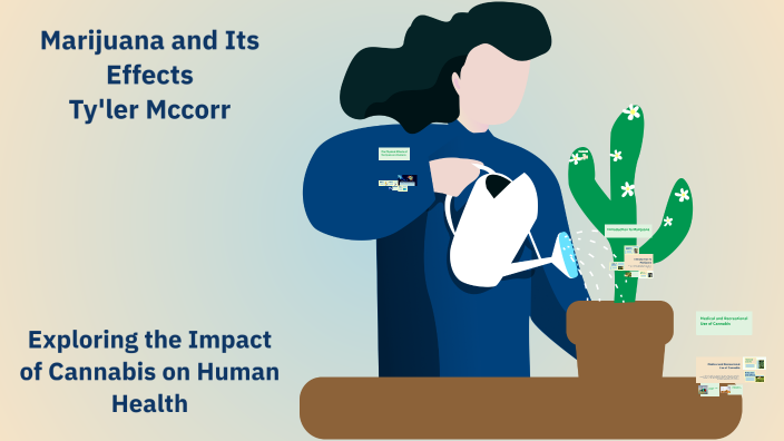 Marijuana and Its Effects by lor tyler on Prezi