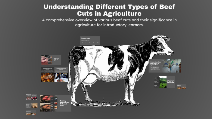 Understanding Different Types of Beef Cuts in Agriculture by Ivory ...