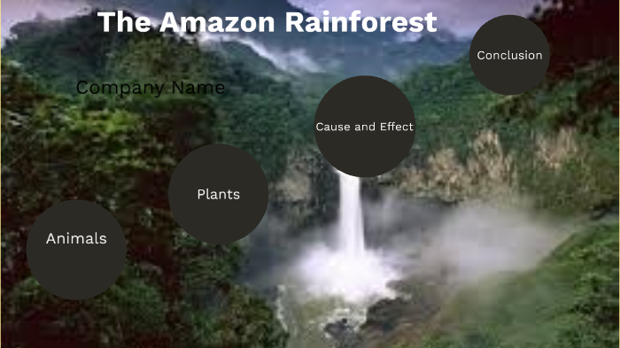 The Amazon Rainforest by Student Jacob Stonebraker on Prezi