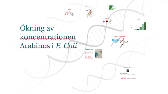 Ökning av koncentrationen Arabinos i Escherichia Coli by on Prezi