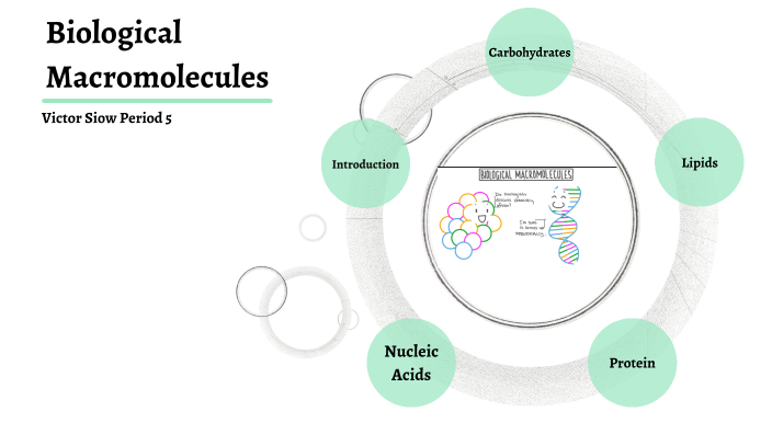 Macromolecules E-Pamphlet by Victor Siow on Prezi