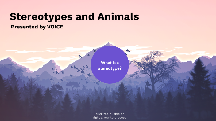 Stereotypes and Animals by Alysse Budd on Prezi
