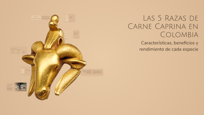 Las 5 Razas de Carne Caprina en Colombia by levinyer ortega on Prezi