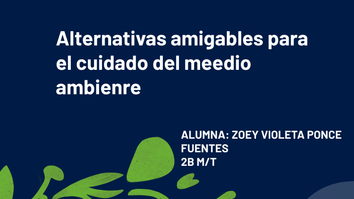 Alternativas amigables para el cuidado del medio ambiente by ZOEY ...