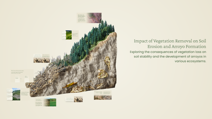 Impact of Vegetation Removal on Soil Erosion and Arroyo Formation by ...
