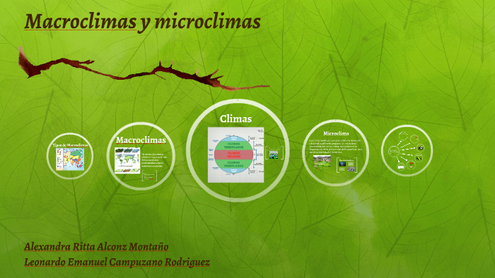 Macroclimas y microclimas by Alexandra Ritta Alconz Montaño on Prezi