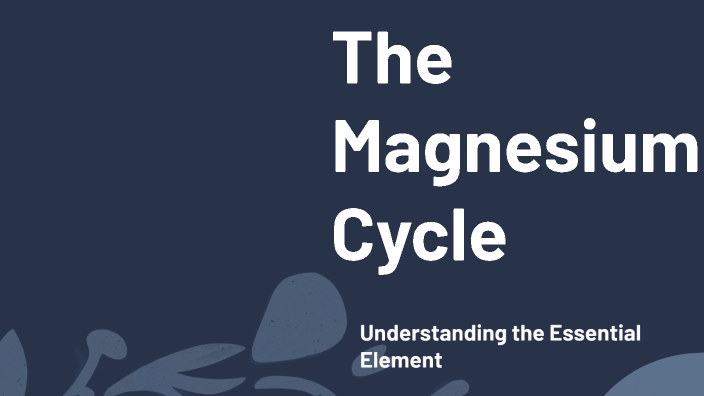 The Magnesium Cycle by Chloe Joseph on Prezi