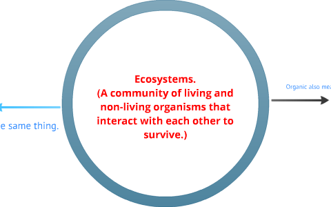 Ecosystem Mind Map. by ♥ нαяℓєєи™♥ ღвαяιαиα™ღ on Prezi