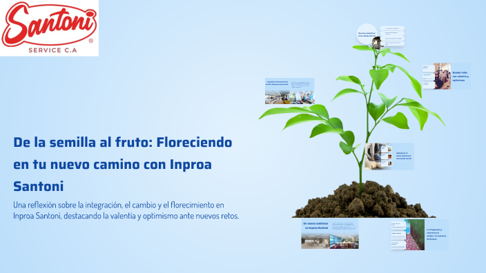 De la semilla al fruto: Floreciendo en tu nuevo camino con Inproa ...