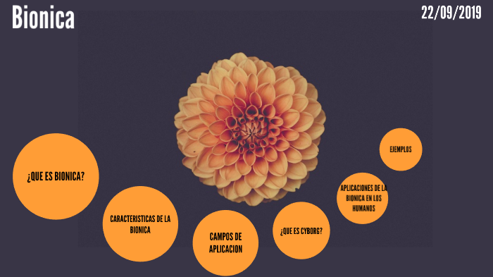 Bionica by Angela Enciso Rodriguez on Prezi