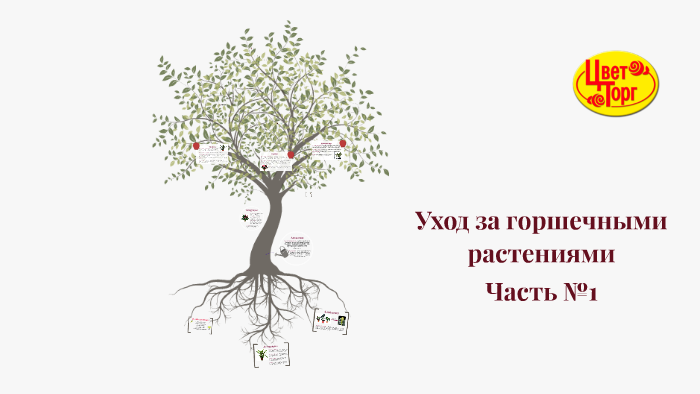 Уход за горшечными растениями. Для управ by on Prezi