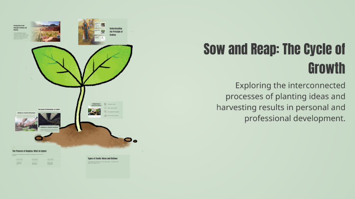 Sow and Reap: The Cycle of Growth by Felix Triawan on Prezi