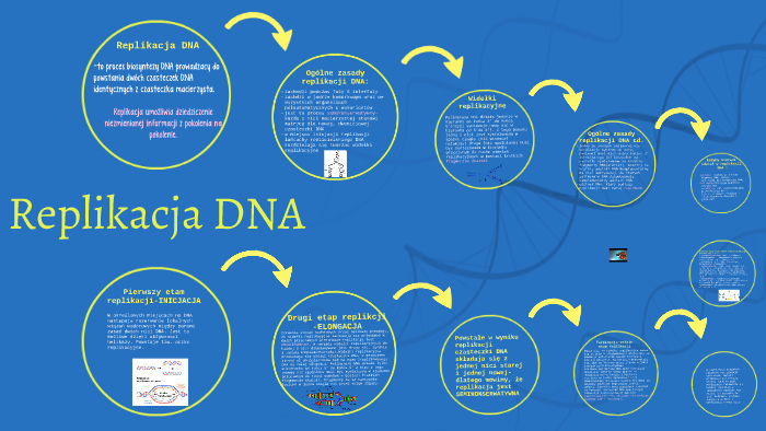 Replikacja DNA by Karolina Romańska on Prezi