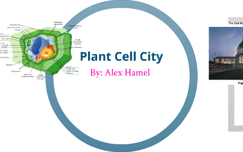 Plant Cell City by Alex Hamel on Prezi