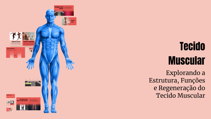 Tecido Muscular by Sirlene Braz on Prezi