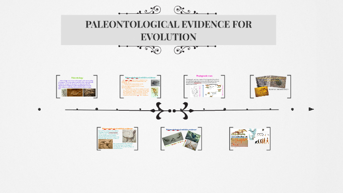 PALEONTOLOGICAL EVIDENCE FOR EVOLUTION by Tsveti Stoyadinova on Prezi