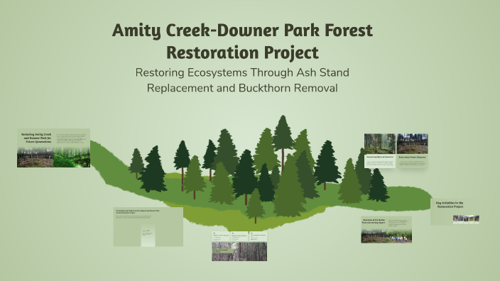 Amity Creek-Downer Park Forest Restoration Project by Kate Kubiak on Prezi