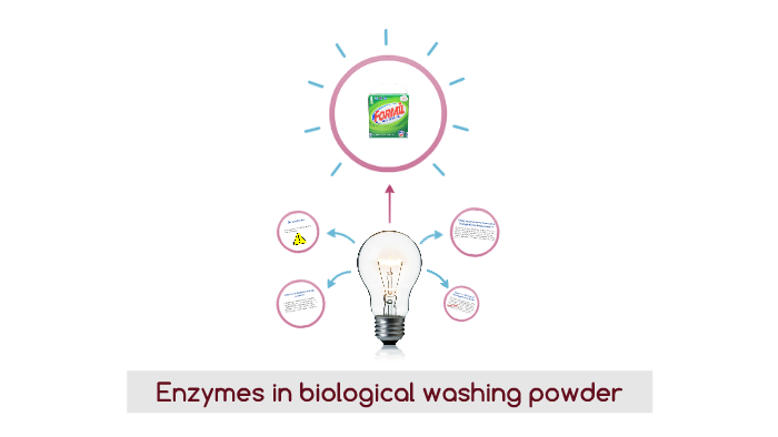 Enzymes in biological washing powder by Francesca Falzone on Prezi
