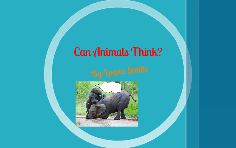Can animals think? by Logan Smith Smith on Prezi