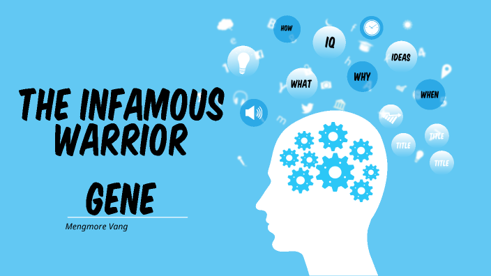 The Infamous Warrior Gene by Mengmore Vang on Prezi