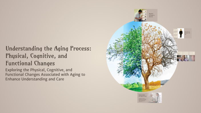 Understanding The Aging Process Physical Cognitive And Functional