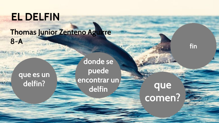 delfin by Thomas junior zenteno aguirre on Prezi