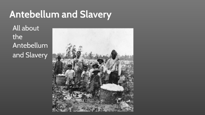 AlecS 3 Antebellum and Slavery by Theresa Runyon on Prezi