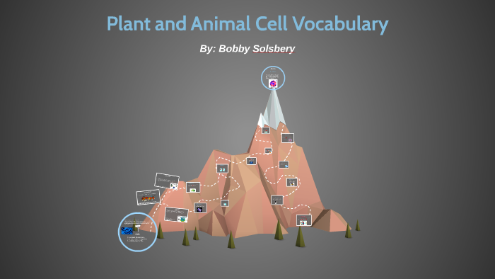 Plant and Animal Cell Vocabulary by Bobby Solsbery on Prezi