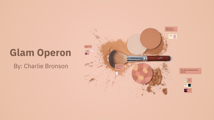 The Science Behind Makeup by Charlie Bronson on Prezi