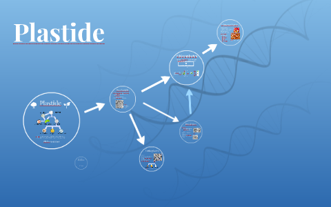 Plastide by Philip Sommer on Prezi