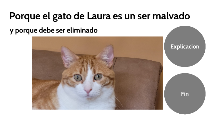 PUTO GATO by Alberto Criado on Prezi