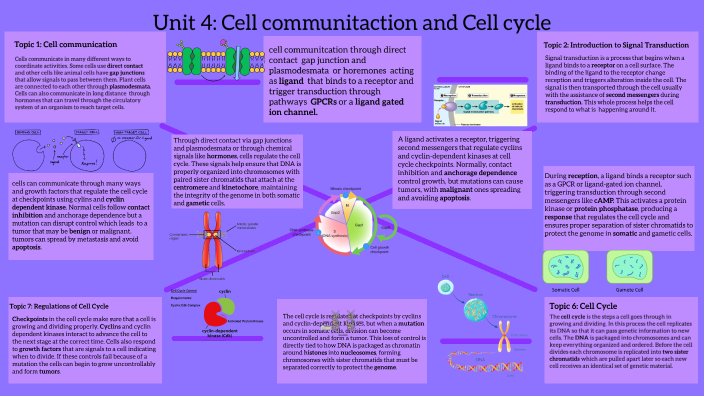 Veida A, Jessica G - Unit 4: Cell communitaction and Cell cycle by ...