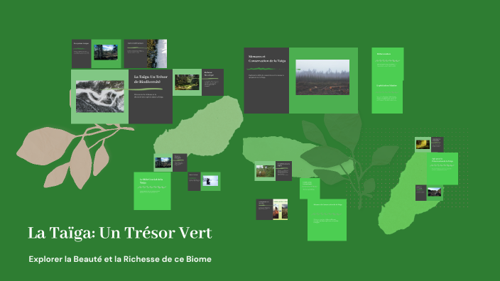 Taïga: Le Cœur Vert de la Terre by Mouhamad Faye on Prezi