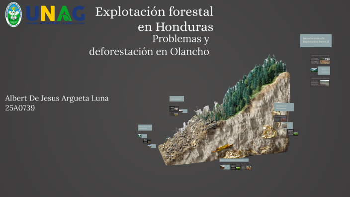 Explotación forestal en Honduras by Albert De Jesus Argueta Luna on Prezi