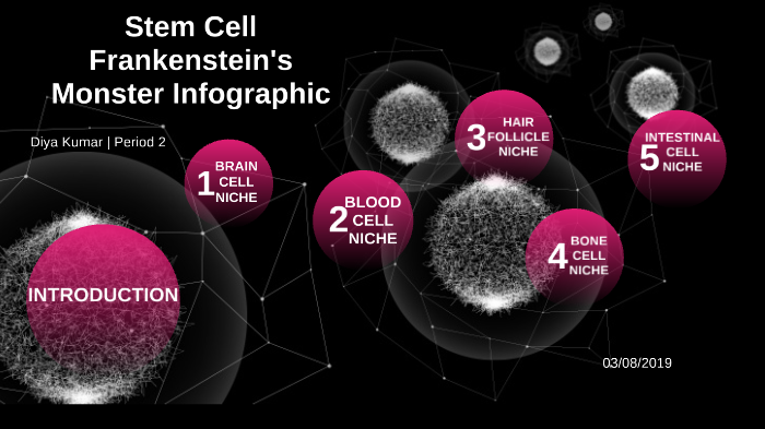 Stem Cell Frankenstein's Monster InfographicFrankenstein's Monster ...