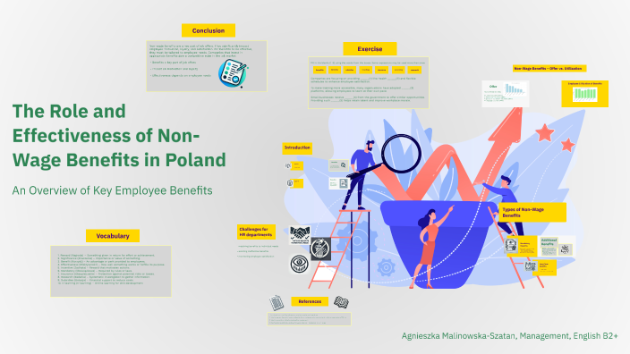 The Role and Effectiveness of Non-Wage Benefits in Poland by Tadeusz ...