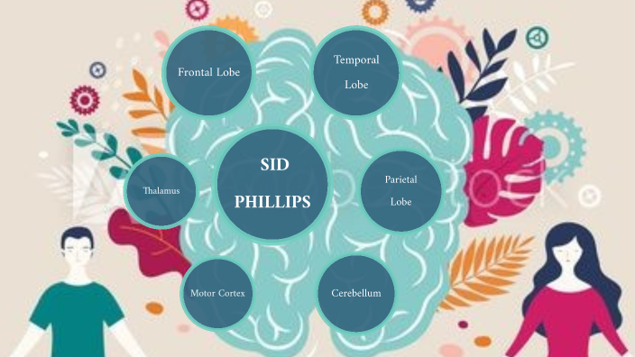 Sid brain (character assingment) by Maeghan Blevins on Prezi
