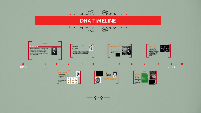 DNA TIMELINE by Julia Link on Prezi