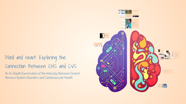 Mind and Heart: Exploring the Connection Between CNS and CVS by menna ...