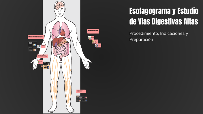 Esofagograma y Estudio de Vías Digestivas Altas by David Zarate on Prezi