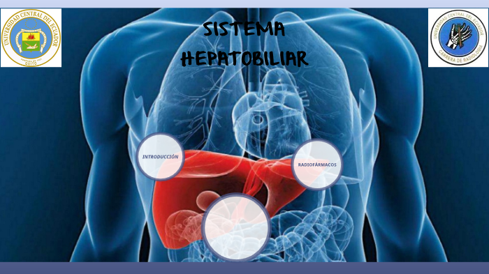 SISTEMA HEPATOBILIAR by Sandy Anagumbla on Prezi