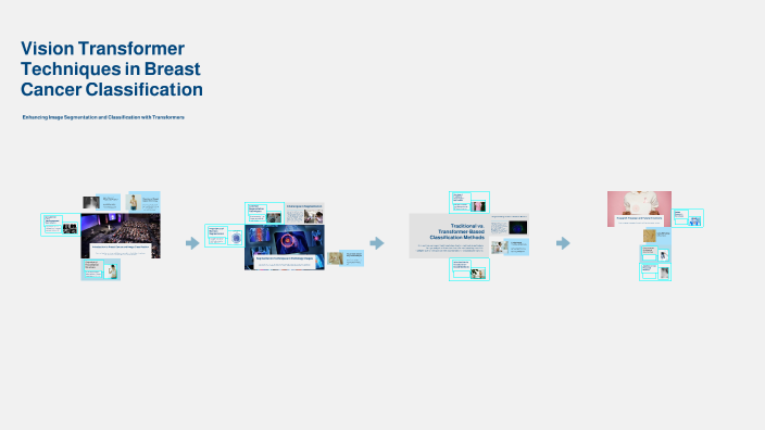 Vision Transformer Techniques for Breast Cancer Classification by ...