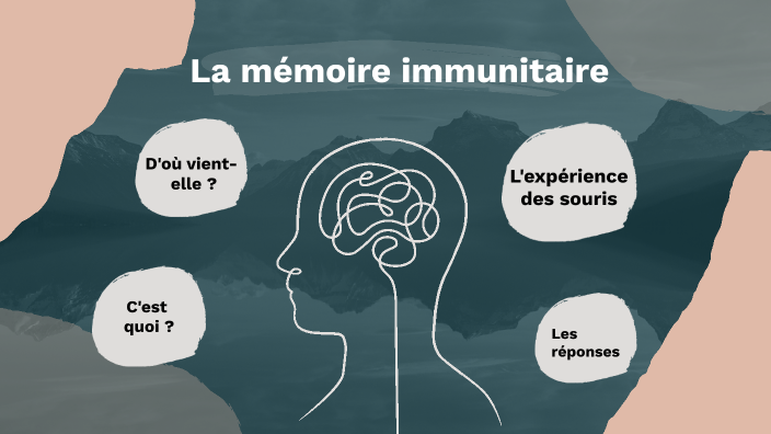 La mémoire immunitaire by nora wangen on Prezi