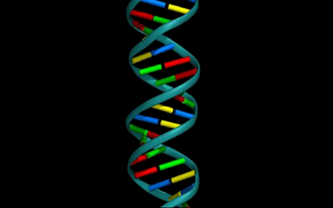 Overview of the DNA timeline project by Mike Gormaly on Prezi